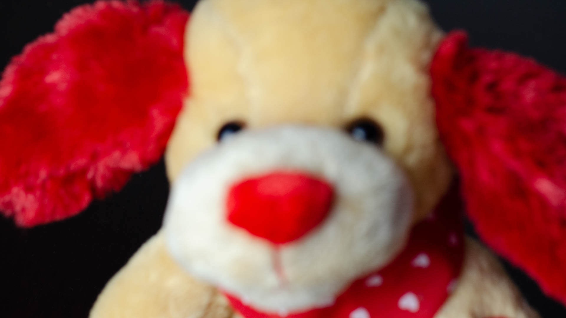 8 raisons pourquoi vos photos sont floues : la vérité pour savoir les ...